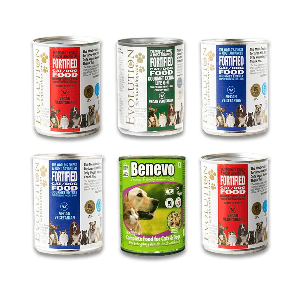 Assorted Case of Cans 6-pack – Vecado USA